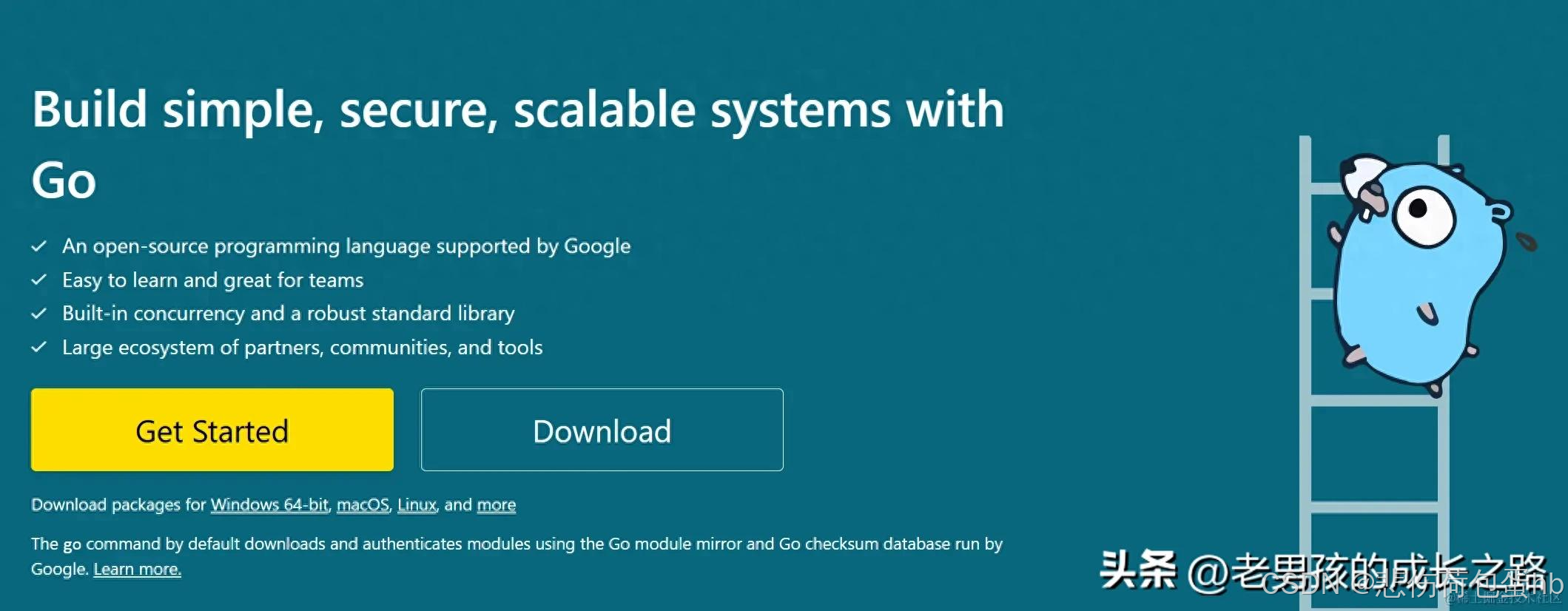 Golang 极简的开发和快速部署入_golang 安装部署-CSDN博客