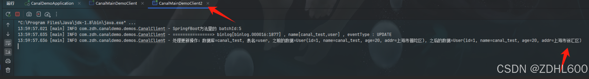 Mysql Canal配置文件详解、canal搭建、Java代码实现数据异构、多客户端连接同一个instance、两个客户分别订阅不同instance订阅是否生效解释_canal 配置文件 ...