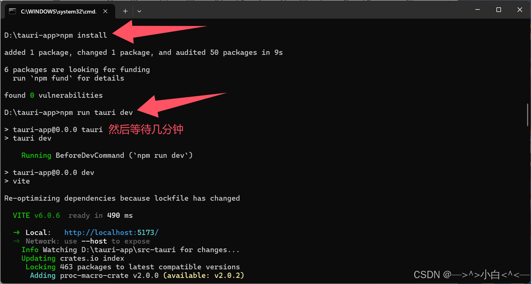 初次构建tauri项目_tauri创建项目-CSDN博客