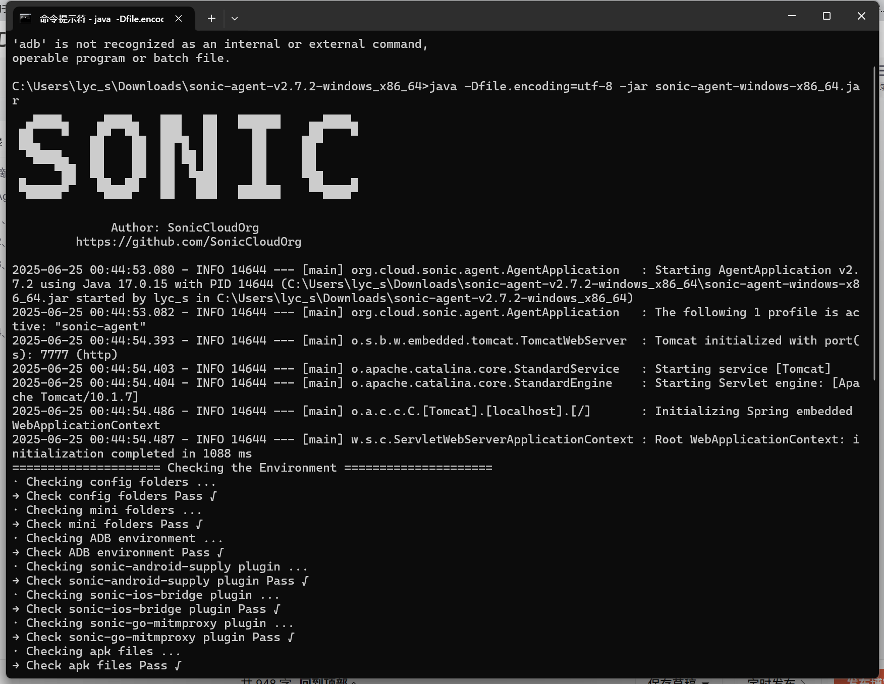 Windows Sonic Agent 端部署（详细版）-CSDN博客