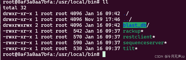 创造一个集BLAST、Primer design、JBrowse功能的Docker镜像_blast网站搭建-CSDN博客