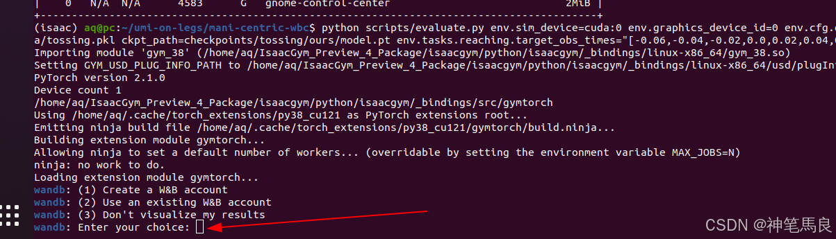 wandb: Enter your choice:-CSDN博客