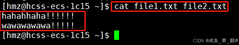 Linux基本命令篇 —— cat命令_linux cat-CSDN博客