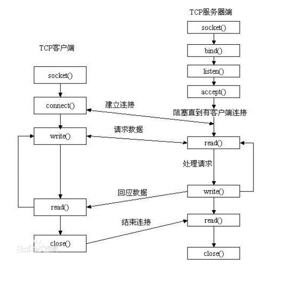 Day34 网络编程:TCP协议 Socket编程-CSDN博客