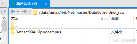 Linux使用nnunet_linux使用 nnunet-CSDN博客