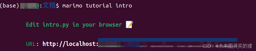 【工具使用】——Marimo_marimo安装-CSDN博客