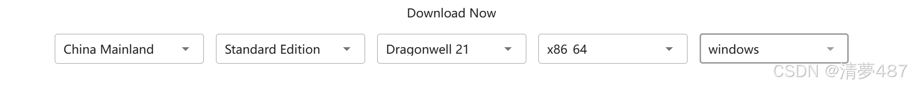 java环境安装教程，阿里的java，jdk，安装教程 Alibaba Dragonwell_阿里ajdk21.0.5-CSDN博客