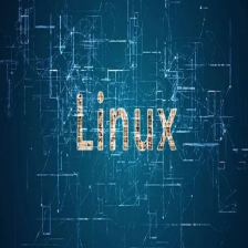 【Linux】调试器 gdb / cgdb-CSDN博客