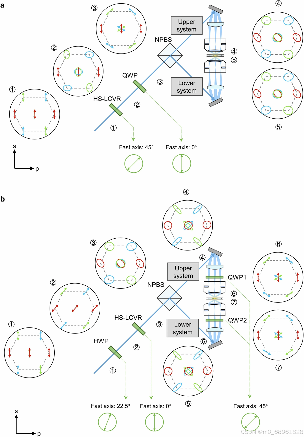 细胞成像的超级“放大镜”——4Pi-SIM_3d-sim ppt-CSDN博客