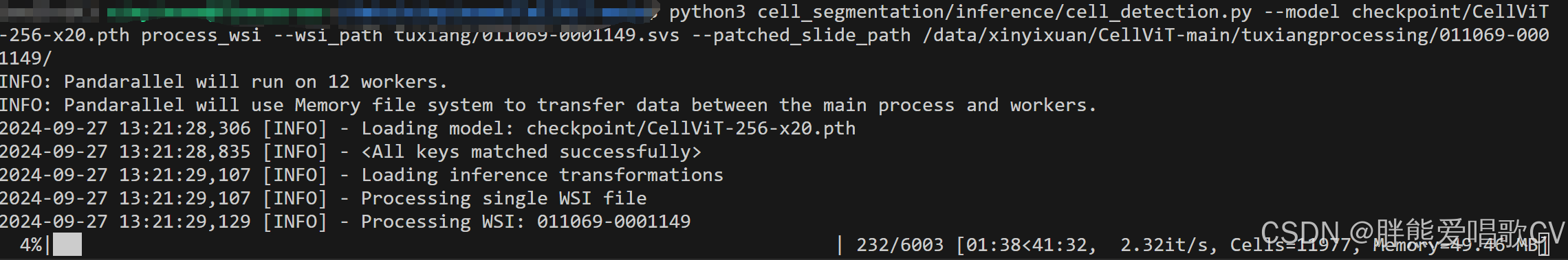 2024-9-27 CellVIT实验复现-CSDN博客