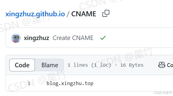 自定义域名绑定github.io_githubio绑定域名-CSDN博客