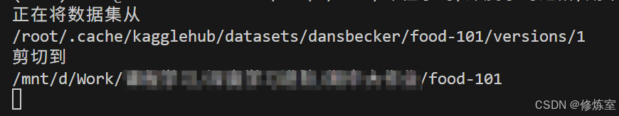在 WSL 中用 kagglehub 下载数据后找不到文件？一招教你定位+剪切到当前目录！_kagglehub默认下载路径-CSDN博客