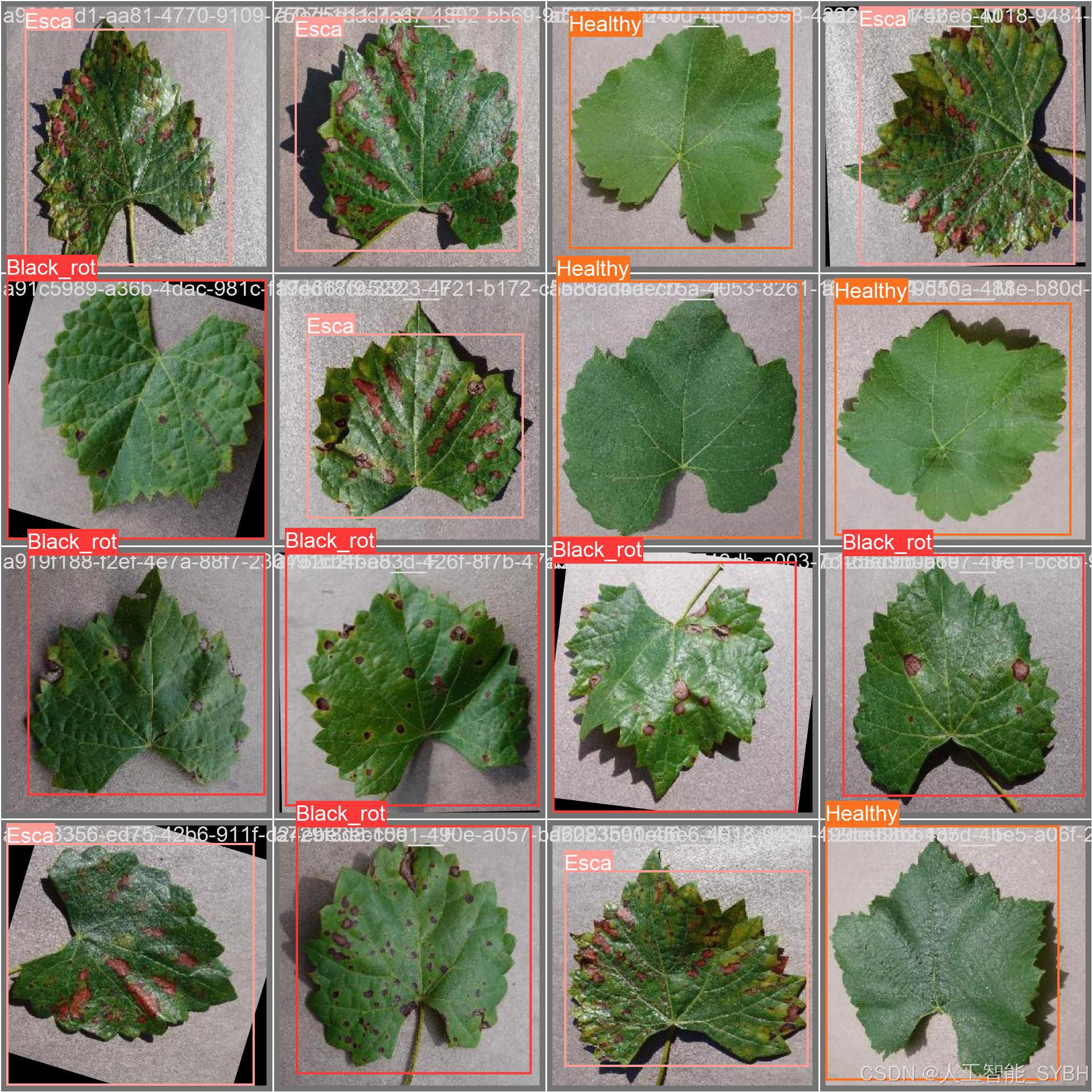 基于深度学习YOLOv10的葡萄叶片病害检测系统（YOLOv10+YOLO数据集+UI界面+Python项目源码+模型）_基于深度学习的葡萄叶部病害图像分类系统-CSDN博客