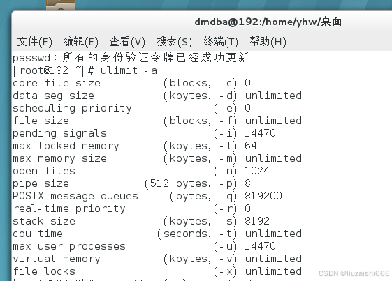 虚拟机安装达梦DM8常见问题_dminstall.bin 安装-CSDN博客