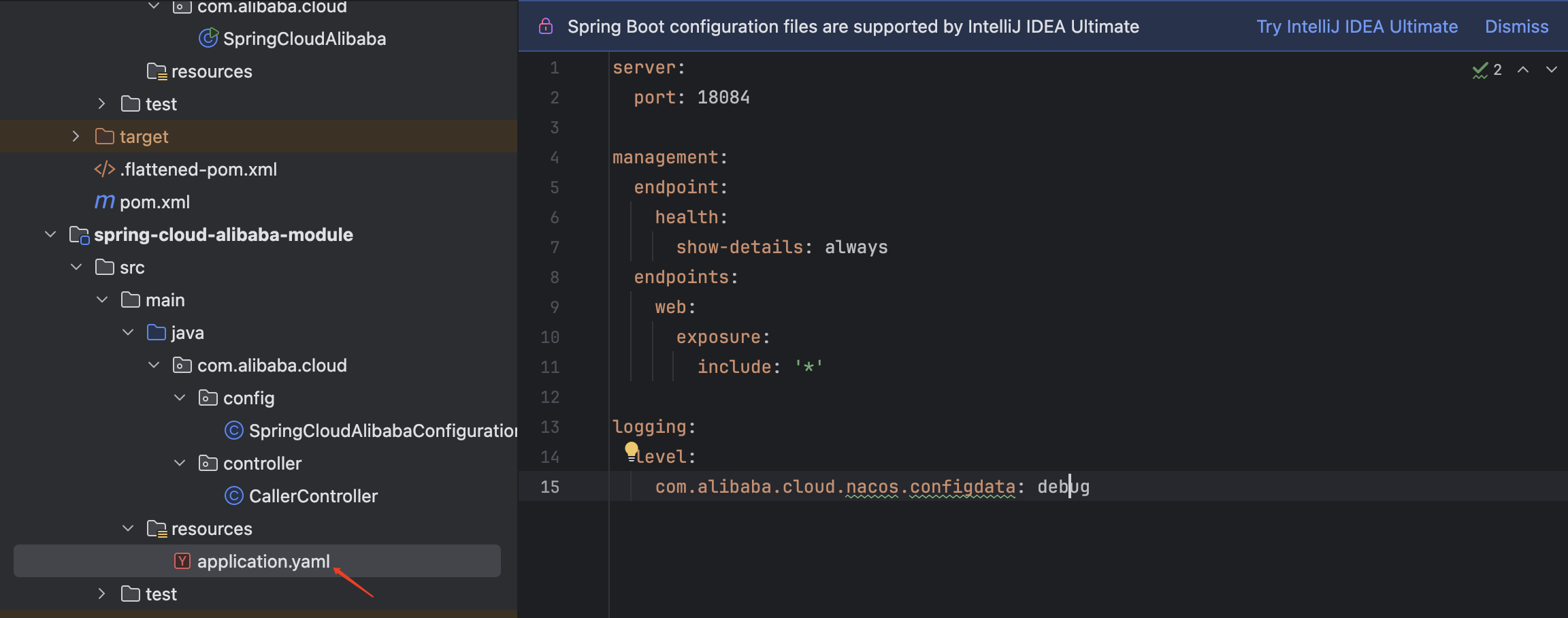 Java微服务实战：0到1搭建Spring cloud alibaba 应用[项目搭建]_java 从零搭建 springboot cloud alibaba-CSDN博客