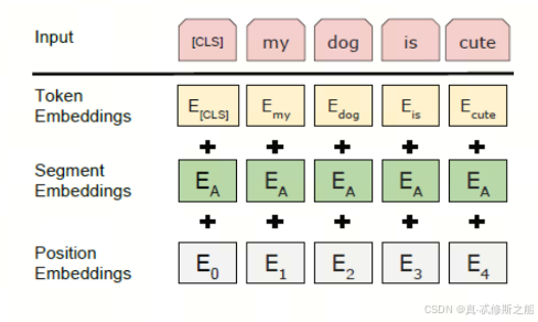 每天5分钟搞懂大模型的分词器tokenizer（三）：Wordpiece_wordpiece分词器-CSDN博客
