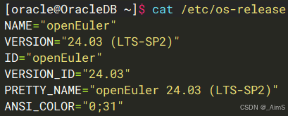 在openEuler-24.03 (LTS-SP2)上RPM方式安装Oracle19c_openeuler安装oracle-CSDN博客