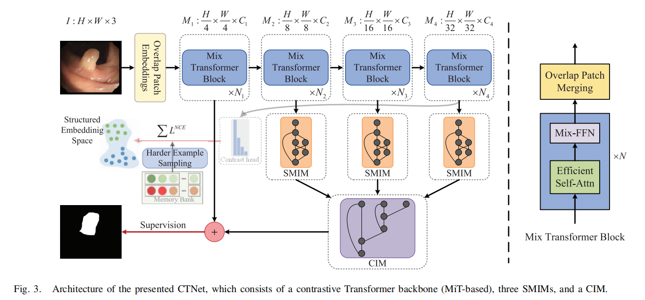 CTNet: Contrastive Transformer Networkfor Polyp Segmentation-CSDN博客