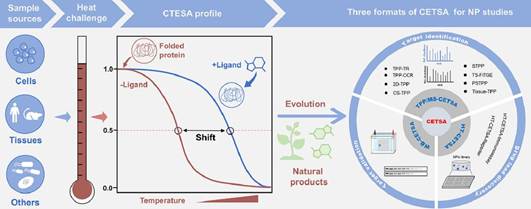 细胞热迁移（CETSA）-细胞热转移-热蛋白质组学-靶点蛋白-CSDN博客