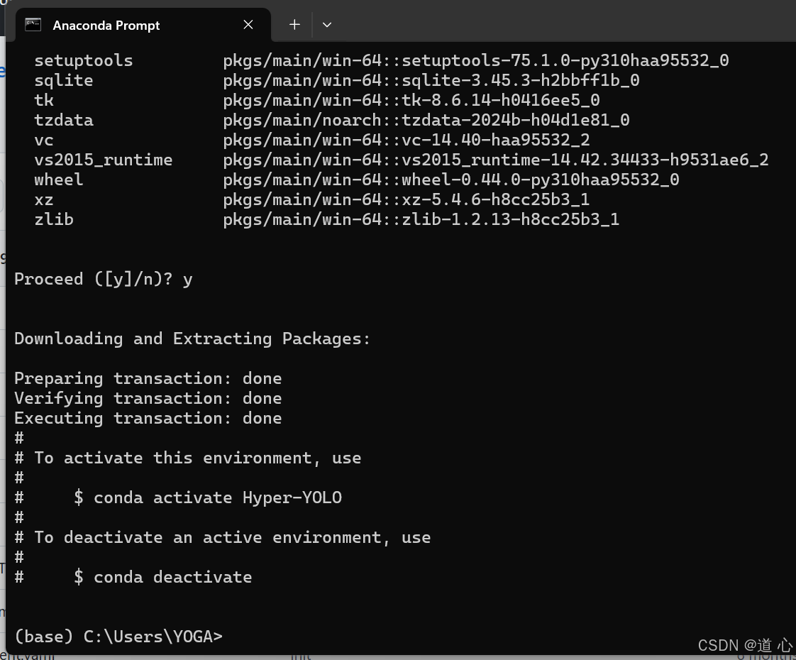 Hyper-YOLO保姆级教程-CSDN博客