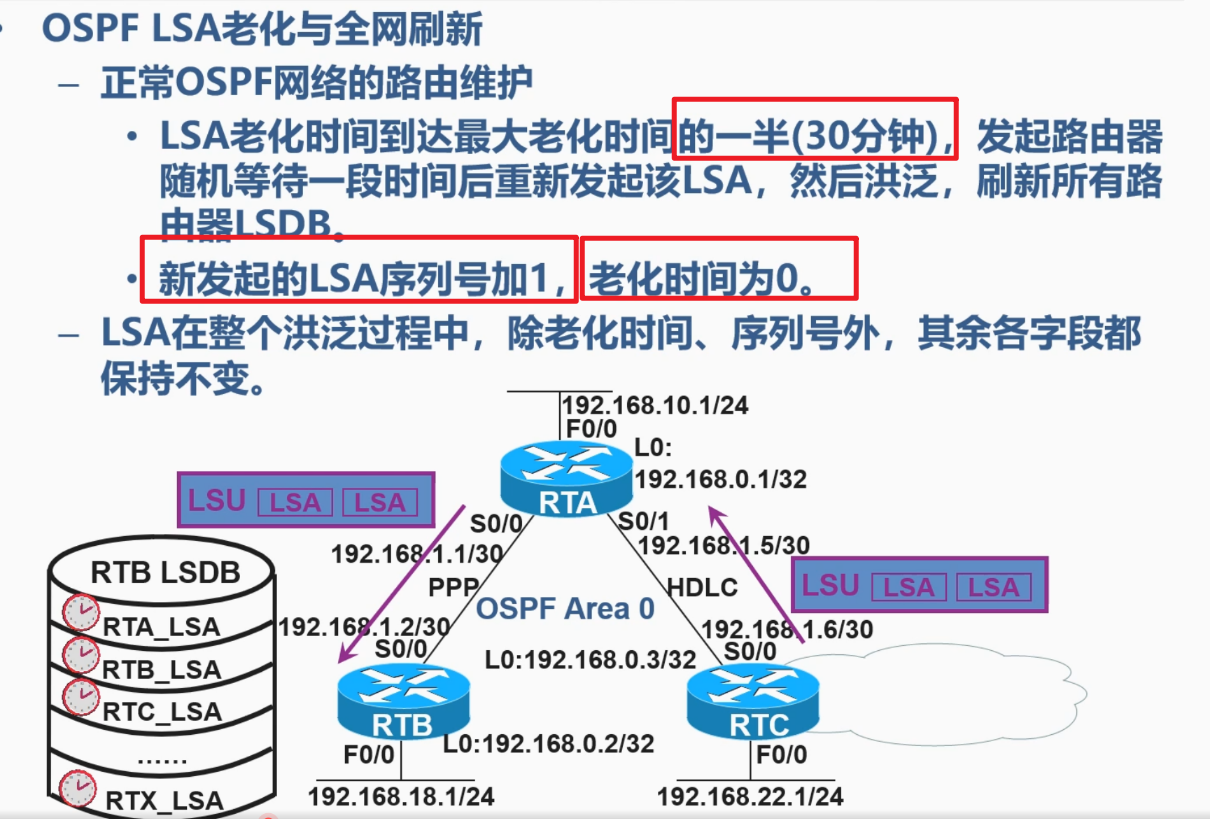 网络基础DAY19-OSPF-CSDN博客