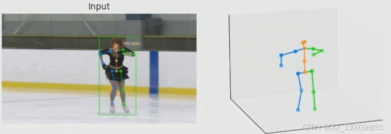 mmpose动物姿态识别/3d人体姿态识别/3d手掌关键点识别/人体热力图_mmpose 3d 生成dance数据-CSDN博客