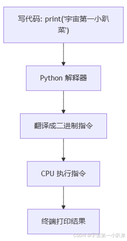 01 Thonny 是啥？—— MicroPython 开发的 “万能瑞士军刀”-CSDN博客