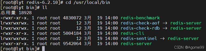 Linux下安装Redis(超详细)_linux安装redis-CSDN博客