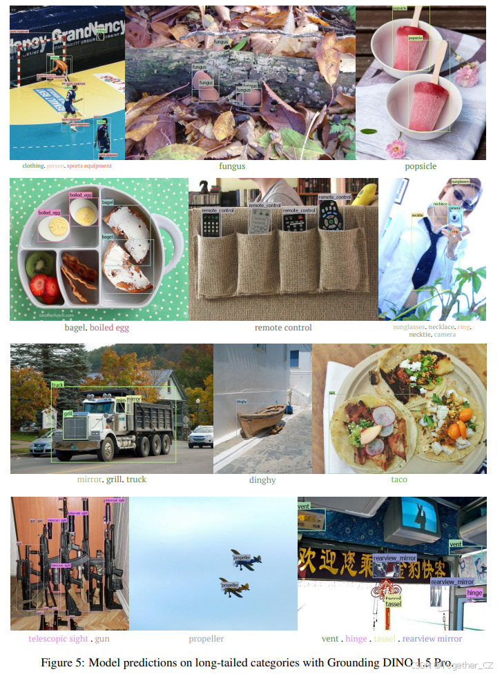 Grounding DINO 1.5: Advance the “Edge” of Open-Set Object Detection——推动开放集目标检测的“边缘”-CSDN博客