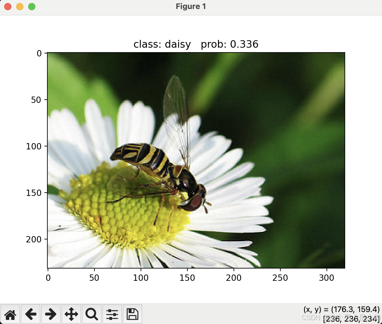 【Shuffle Net V2】精讲 (5) 【pytorch】完整可运行代码_shufflenet代码-CSDN博客