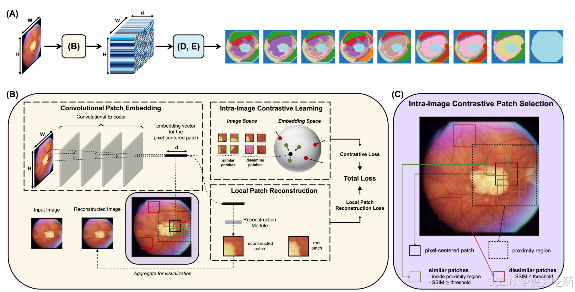 CUTS: A Deep Learning and TopologicalFramework for MultigranularUnsupervised Medical Image ...