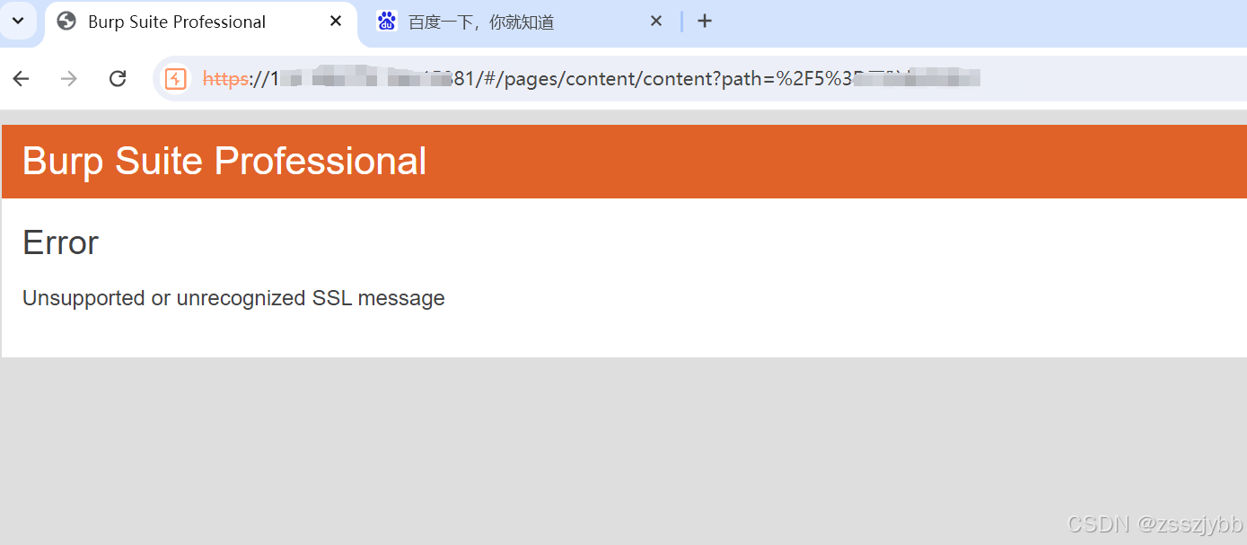 Burpsuite Unsupported or unrecognized SSL message问题解决方案-CSDN博客