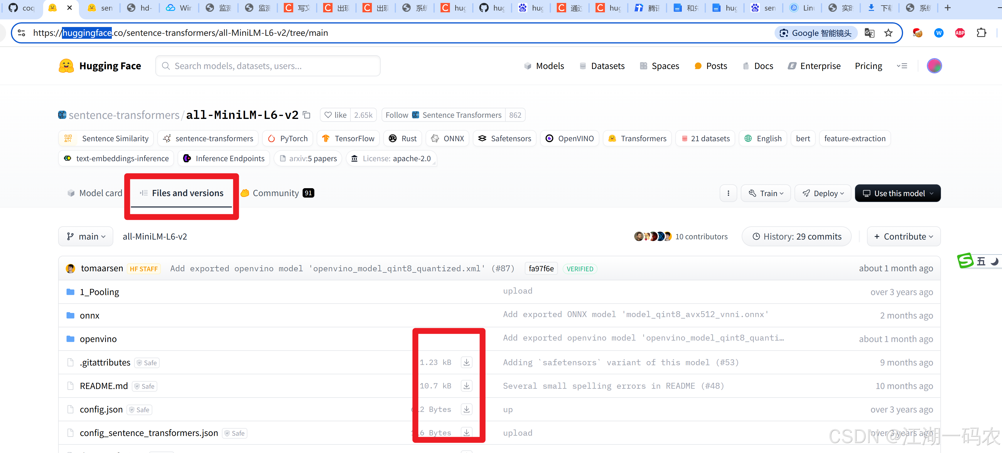[小白系列]入门huggingface-huggingface写个Demo_huggingface demo-CSDN博客
