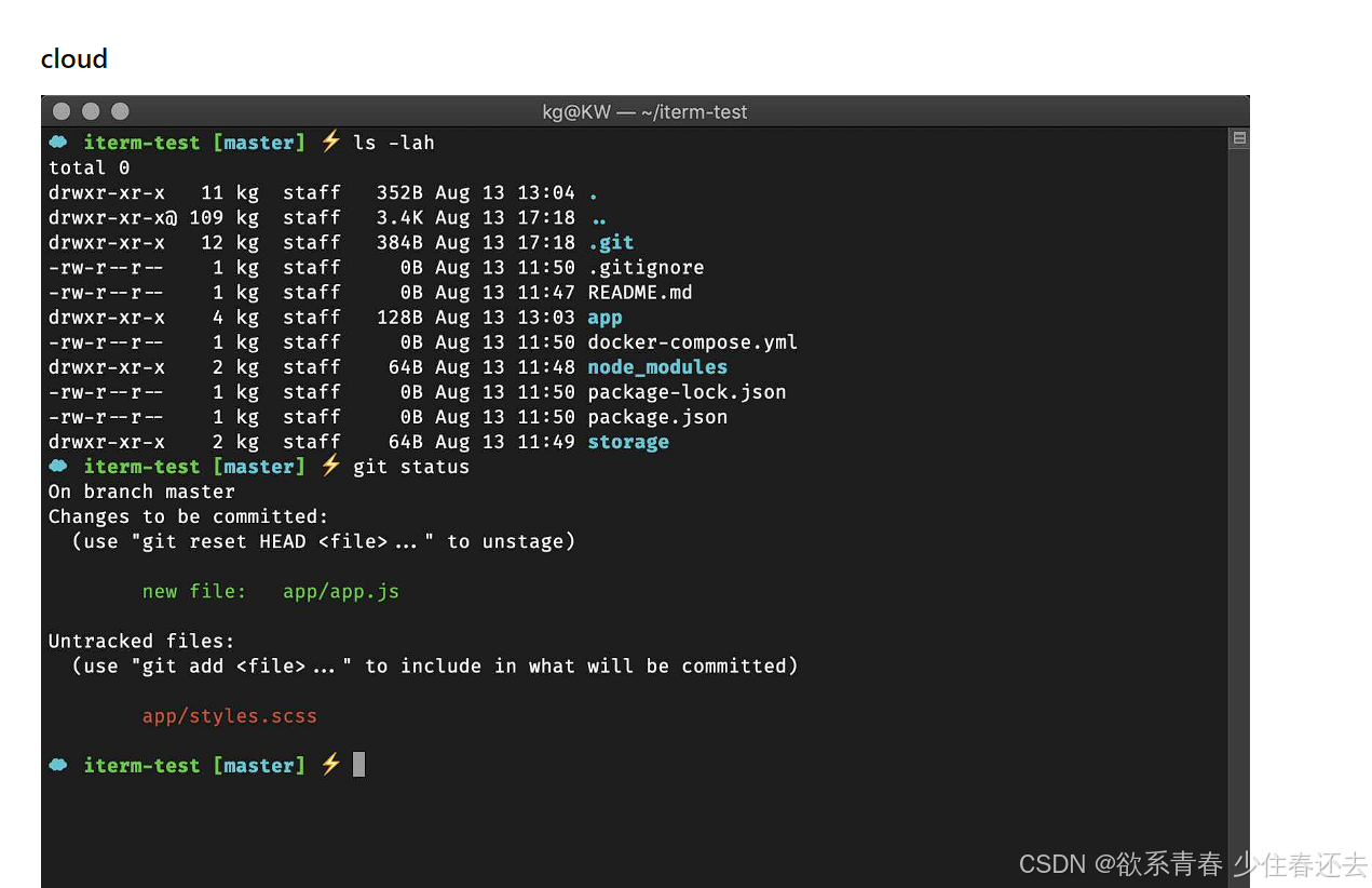 【zsh&&oh-my-zsh】-CSDN博客
