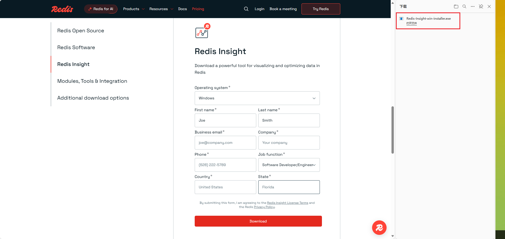 下载、安装、使用最新版 Redis Insight_redisinsight下载-CSDN博客