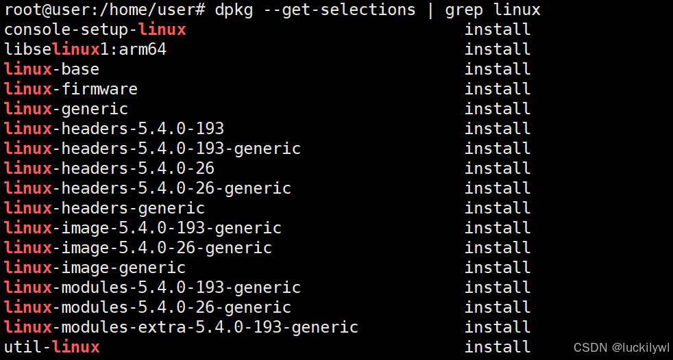 ubuntu20.04 昇腾310p 开发环境部署_err00100 pta call acl api failed-CSDN博客
