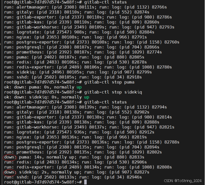 基于k8s或docker生产环境下gitlab备份方案大全_docker gitlab 备份-CSDN博客