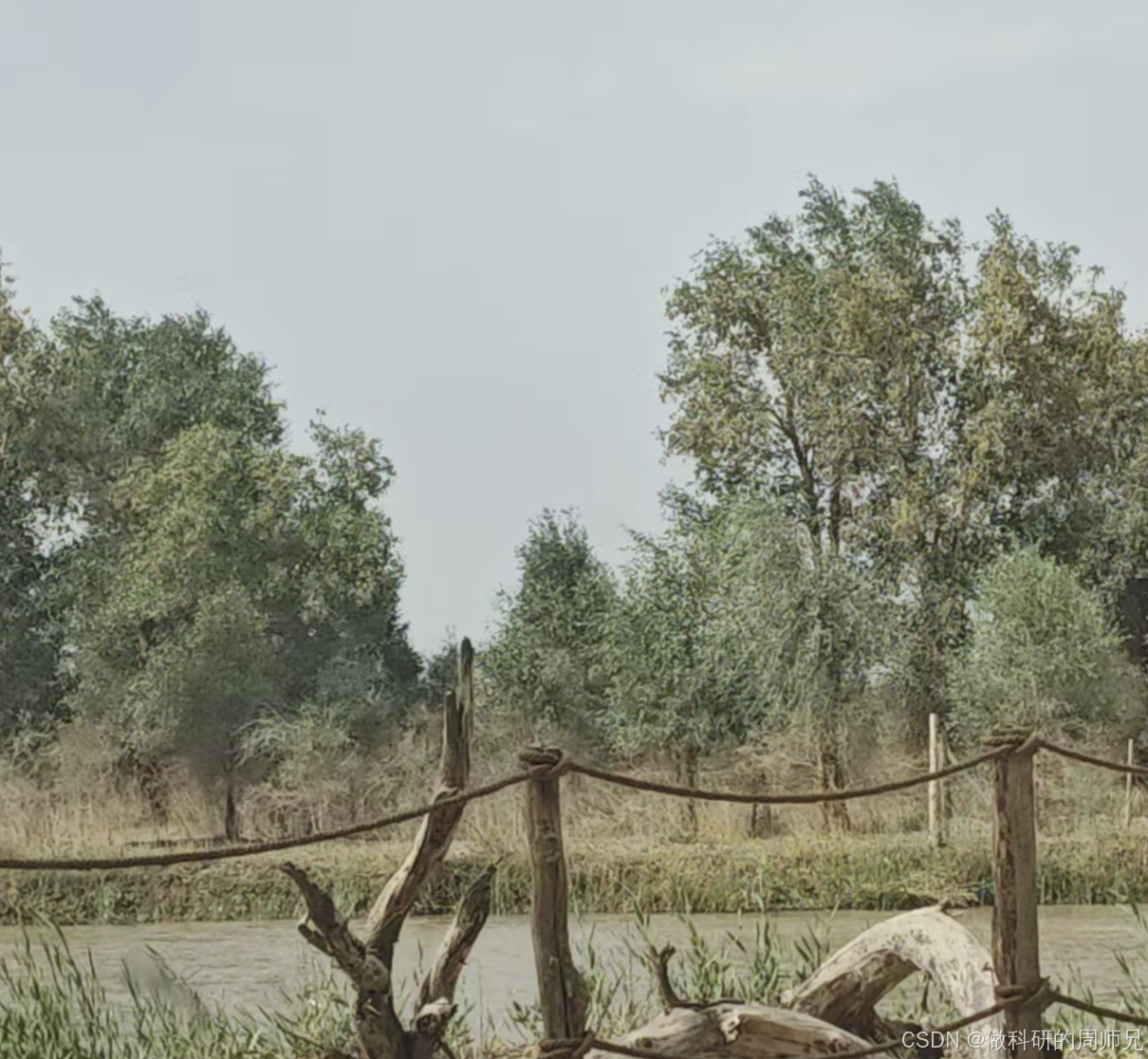 中国区域地面气象要素驱动数据集（1979-2018）-CSDN博客