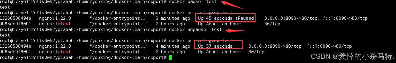 Docker容器操作流程超详细攻略！attach/detach模式怎么选？自动重启如何配置？等等等 一篇带你全吃透！_docker detach-CSDN博客