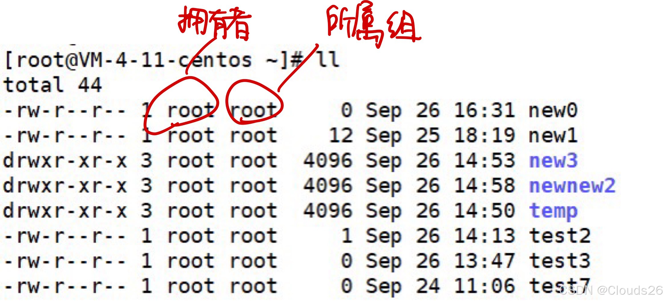 Linux权限_linux给user用户赋予wrx权限-CSDN博客