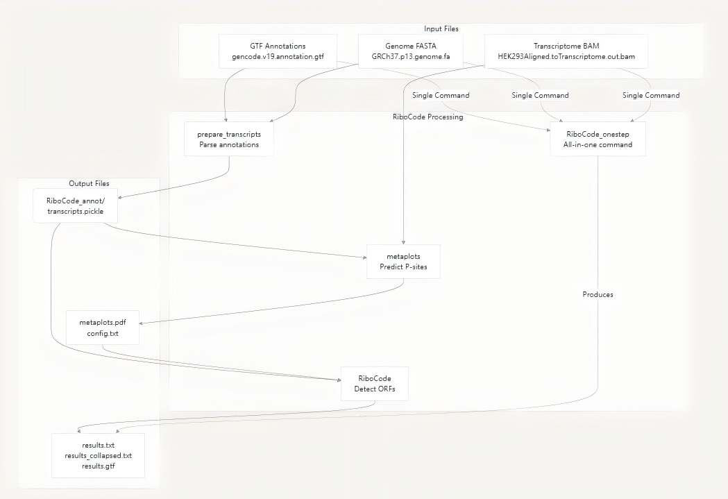 DeepWiki—开源的Github项目解构工具-CSDN博客