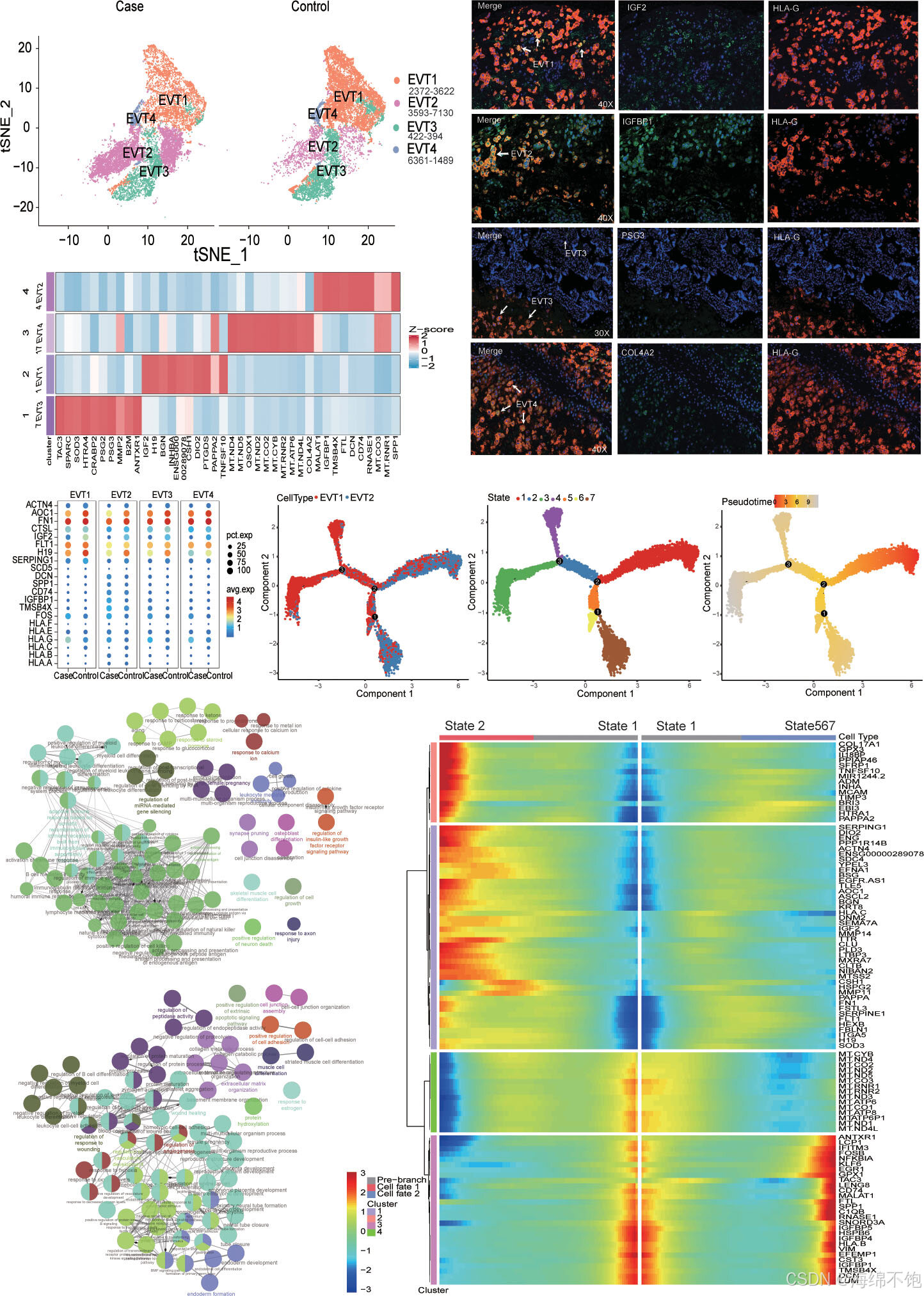 Single-cell profiling reveals immune disturbances landscape and HLA-F ...