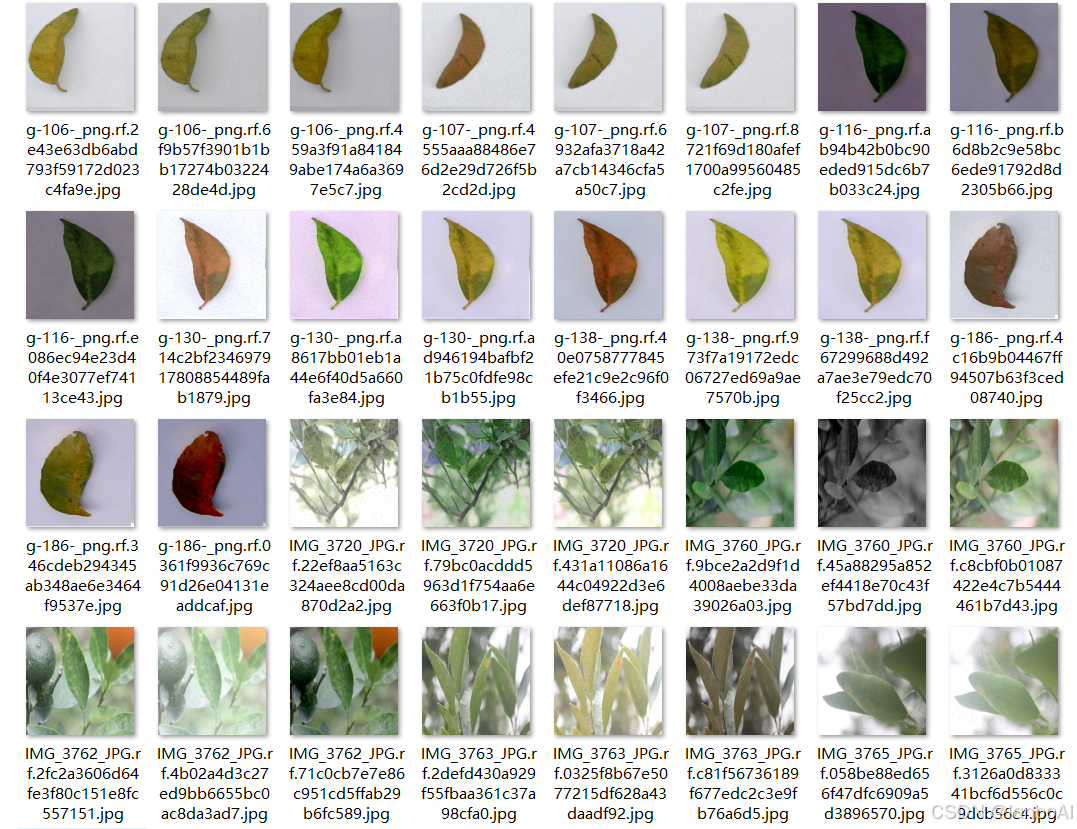 基于yolov8的柑橘叶片病虫害检测系统，支持图像、视频和摄像实时检测【pytorch框架、python源码】yolo病虫害检测系统 Csdn博客