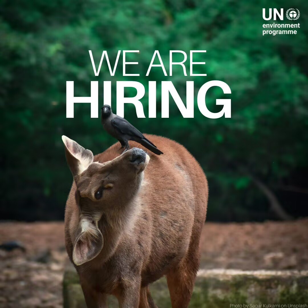 CET6 仔细阅读 24年6月第一套-C2 环保这一块_(b)the term "environmentalist" can mean different -CSDN博客