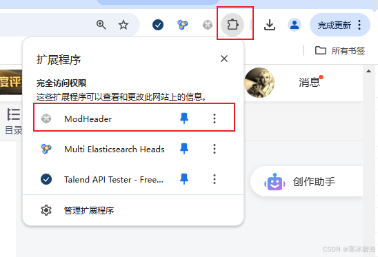 解锁谷歌 ModHeader 插件：轻松添加浏览器请求头，博客技术干货分享-CSDN博客