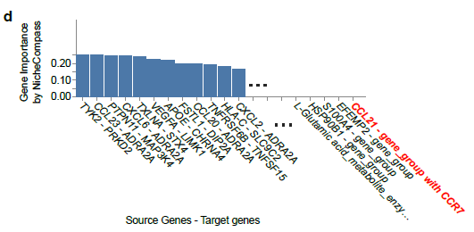 Nature Methods | CellNEST——利用注意力机制解析空间转录组中的细胞间中继网络_cellnest代码-CSDN博客