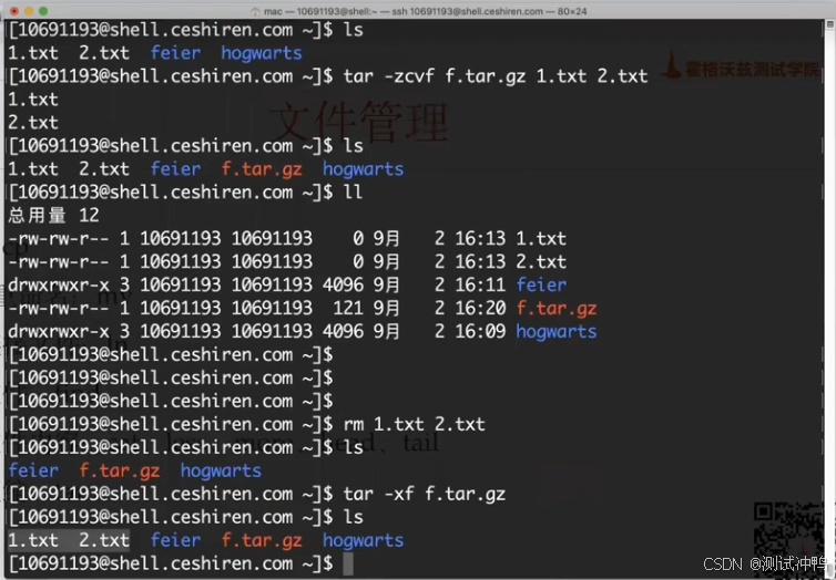 【可实战】Linux 常用命令之文件处理：ssh、ls、cd、pwd、mkdir、touch、rm、cp、mv、ln、find、cat、tail、tar、echo、＞、chmod ...