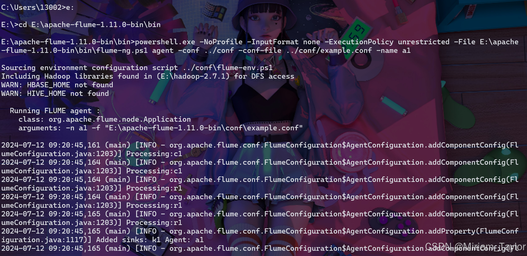 windows下flume的安装与配置教程_flume windows安装-CSDN博客