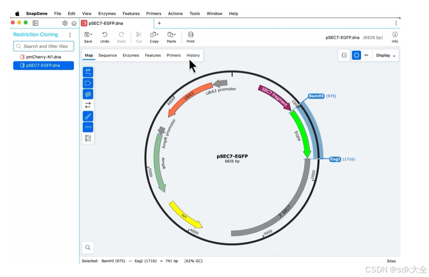 SnapGene 8.2.1-CSDN博客
