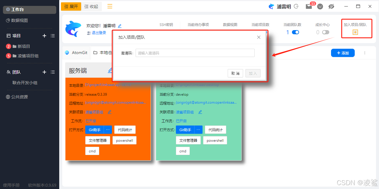 OpenLinkSaas使用手册-项目功能简介-CSDN博客